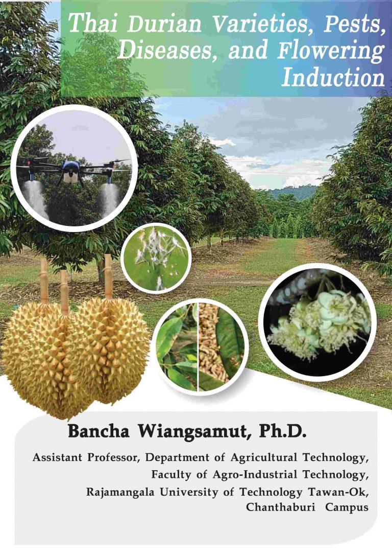 Thai Durian Varieties, Pests, Diseases, and Flowering Induction – คณะ ...
